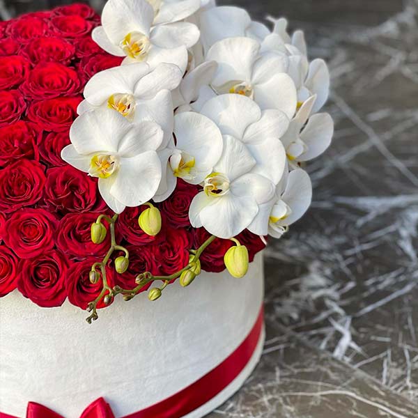 باکس گل و کیک برای تولد خواهر گل و کیک آفتابگردان هلیا