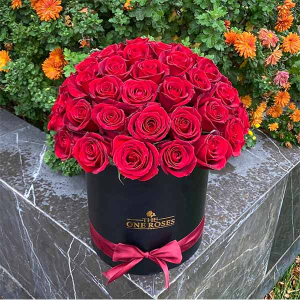 باکس گل رز 40 شاخه قرمز گرد مدل 1412 گل فروشی آنلاین هما