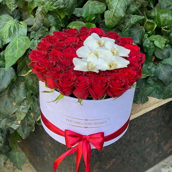 باکس گل و کیک برای تولد شوهر قیمت گل و کیک مردانه یزدان